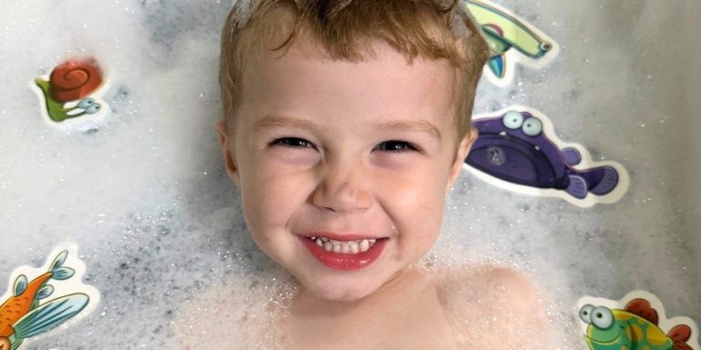 Multieva – Tienda mayorista Barama